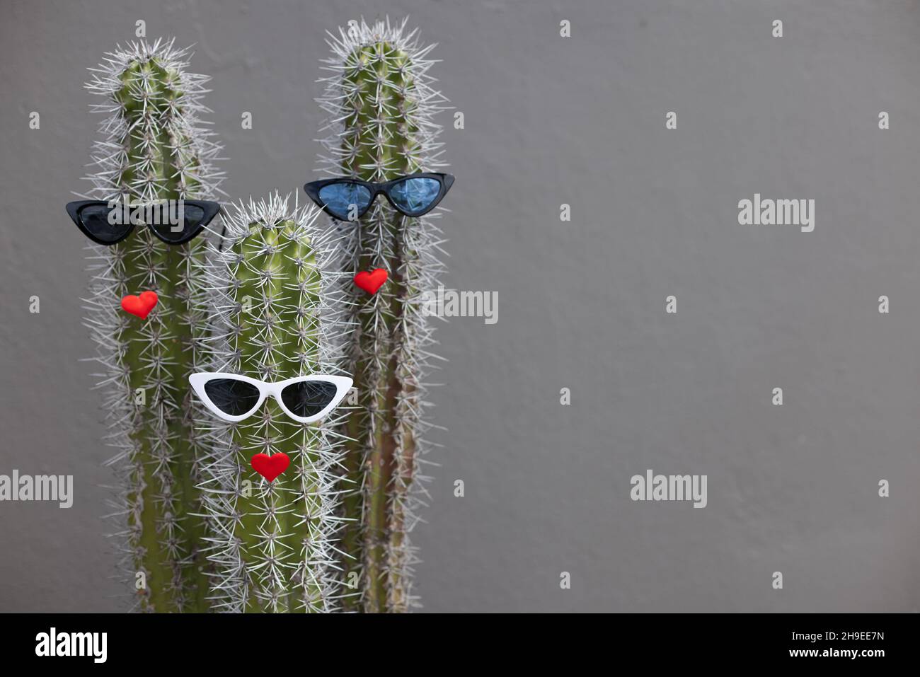 Fun and cool three cactuses with the sunglasses and red lips Stock ...