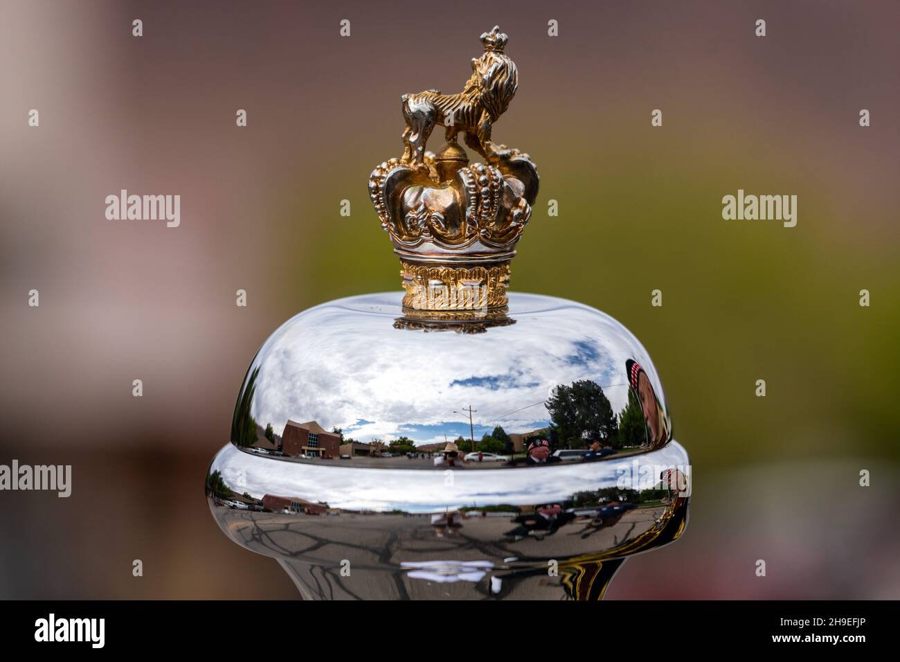 Scots head hi-res stock photography and images - Alamy