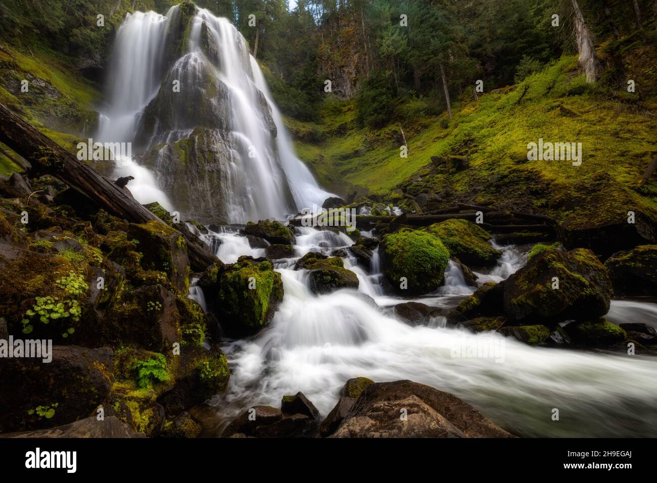 Beautiful cascading flowing waterfall in a green forest Stock Photo - Alamy