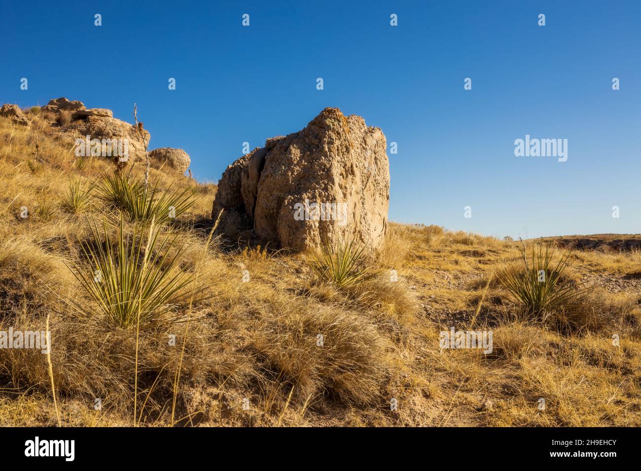 Late Fall Coloradoan Landscape. Pawnee National Grasslands in ...