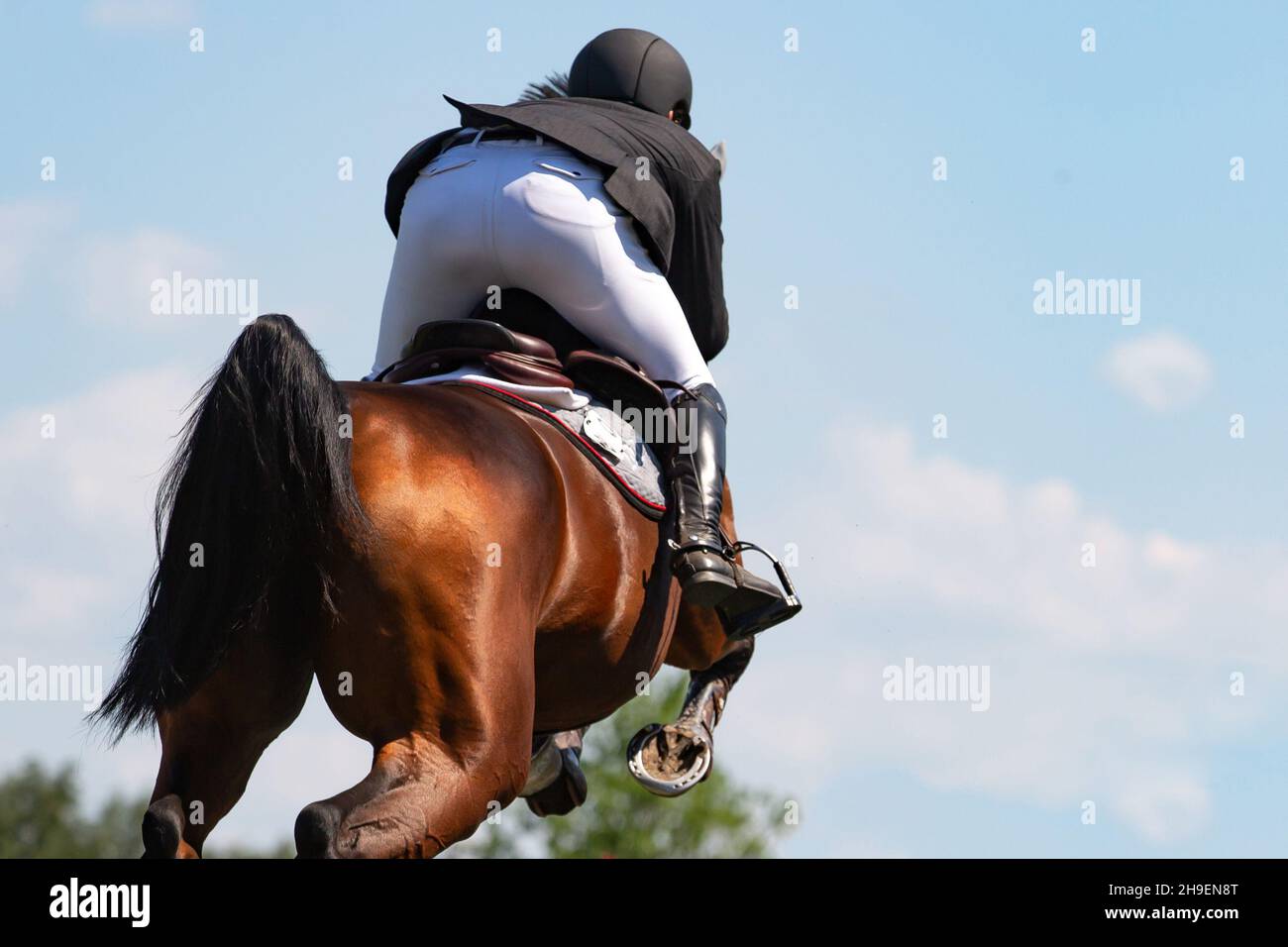 Horse Jumping, Equestrian Sports, Show Jumping event themed photograph ...