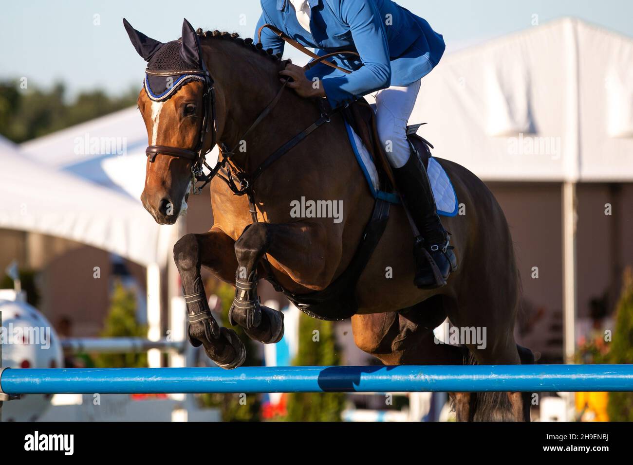 Horse Jumping, Equestrian Sports, Show Jumping event themed photograph ...