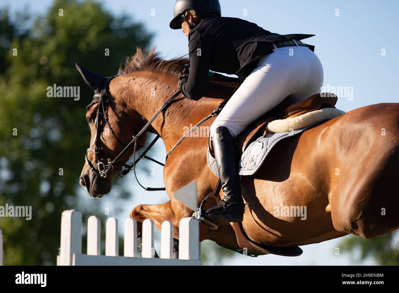 Horse Jumping, Equestrian Sports, Show Jumping event themed photograph ...