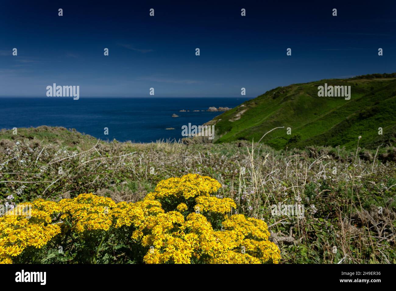 The Channel Islands of Jersey, Guernsey and Sark in summer with sun ...