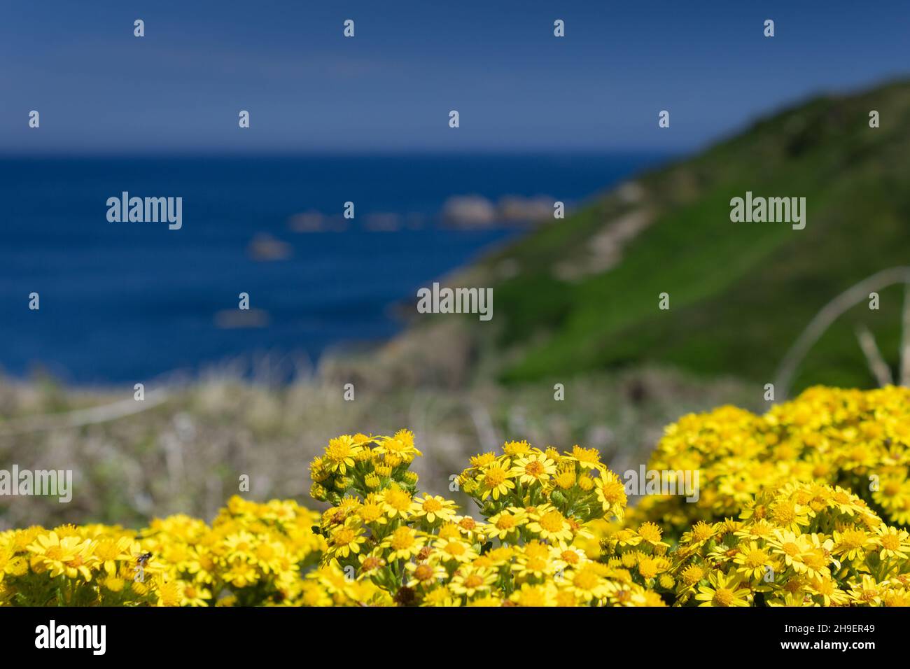 The Channel Islands of Jersey, Guernsey and Sark in summer with sun ...