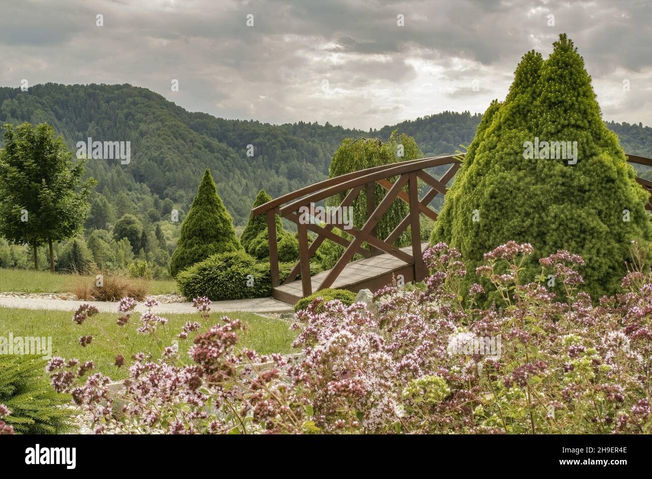Small wooden bridge with a background of hills with dense-growing trees ...