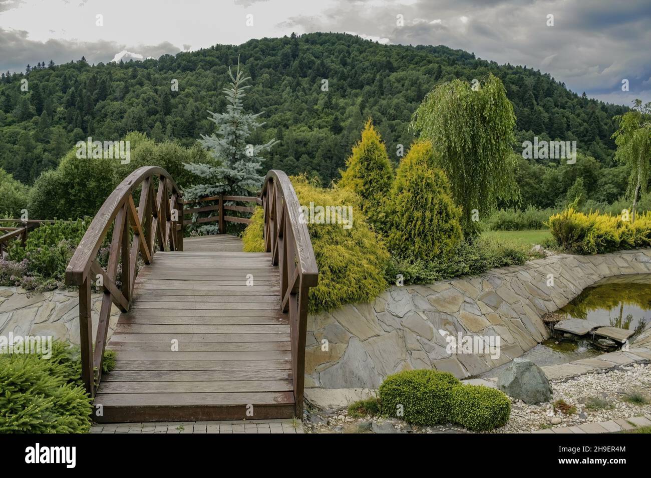 Wooden pathway leading to the beautiful green forest with dense ...