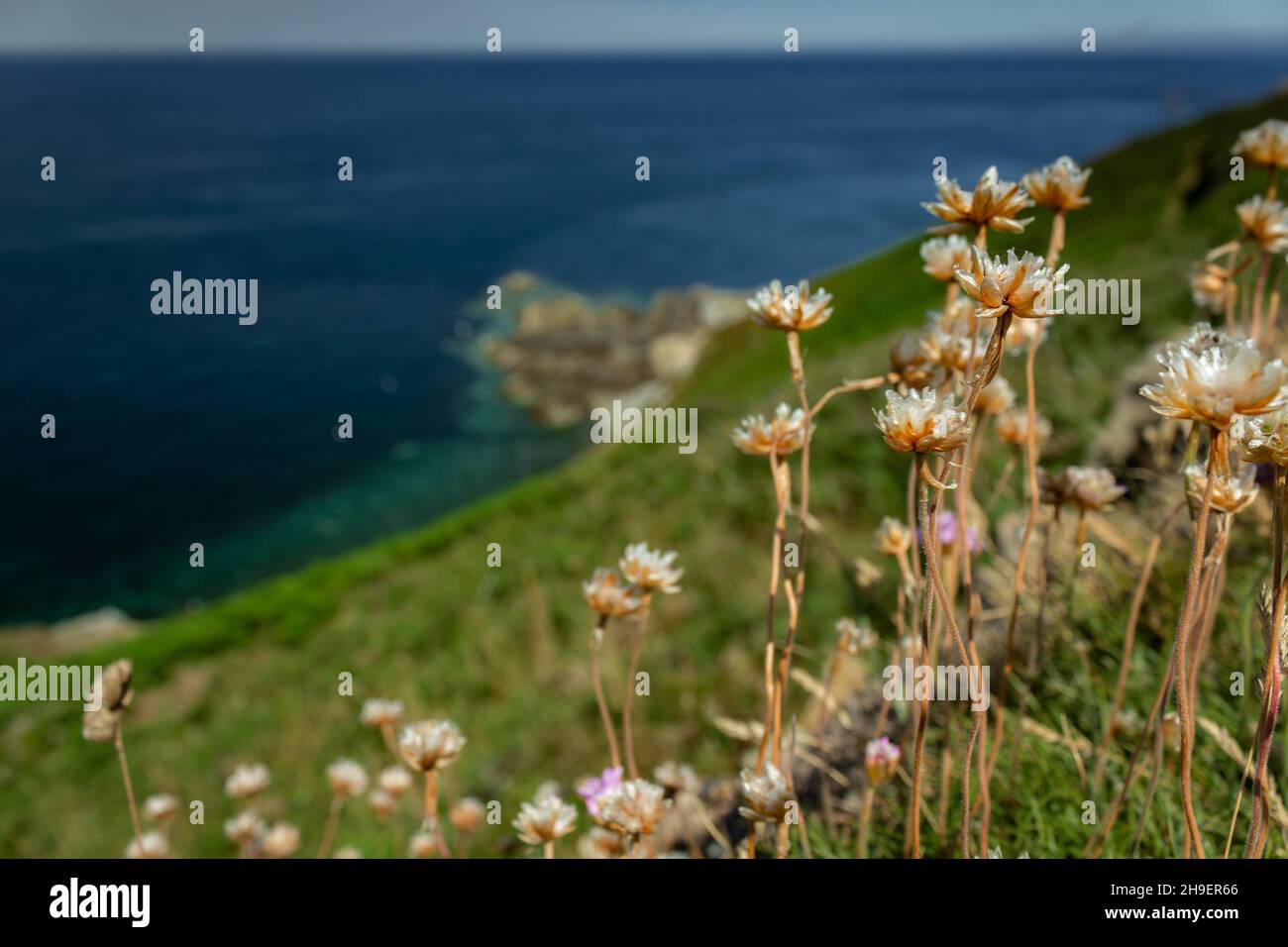 The Channel Islands of Jersey, Guernsey and Sark in summer with sun ...