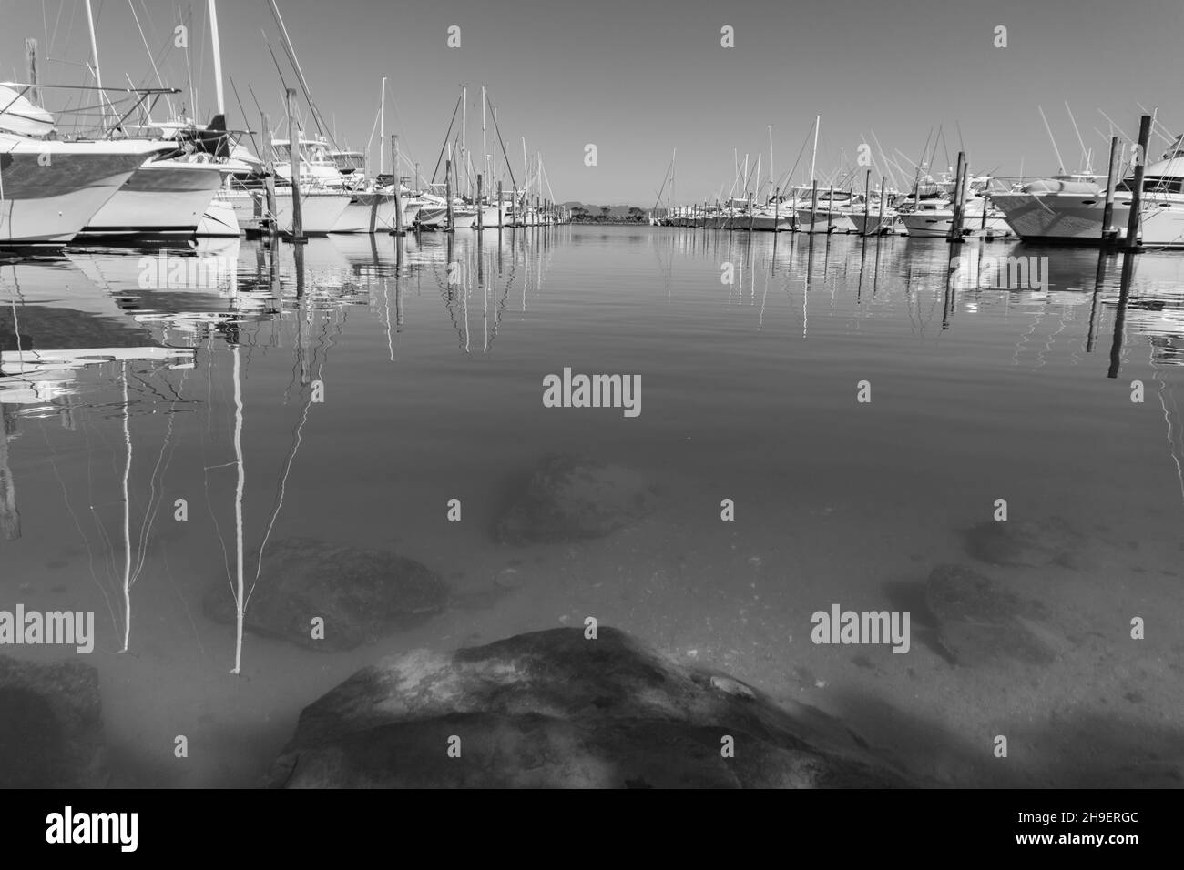 Blue and white, luxury boats and yachts moored in Tauranga Marina ...