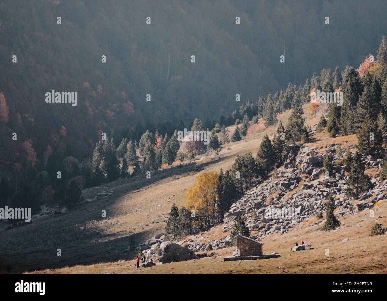 Beautiful landscape with hikers resting by a small cabin on a forested ...
