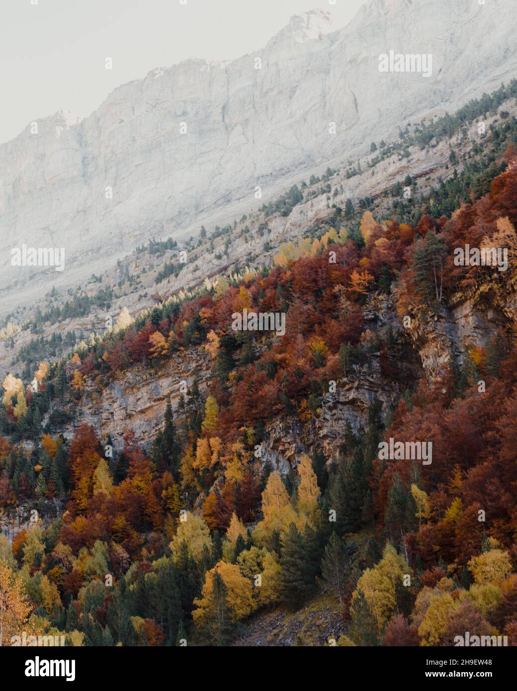 Vertical shot of a rocky cliff over a colorful autumn forest Stock ...