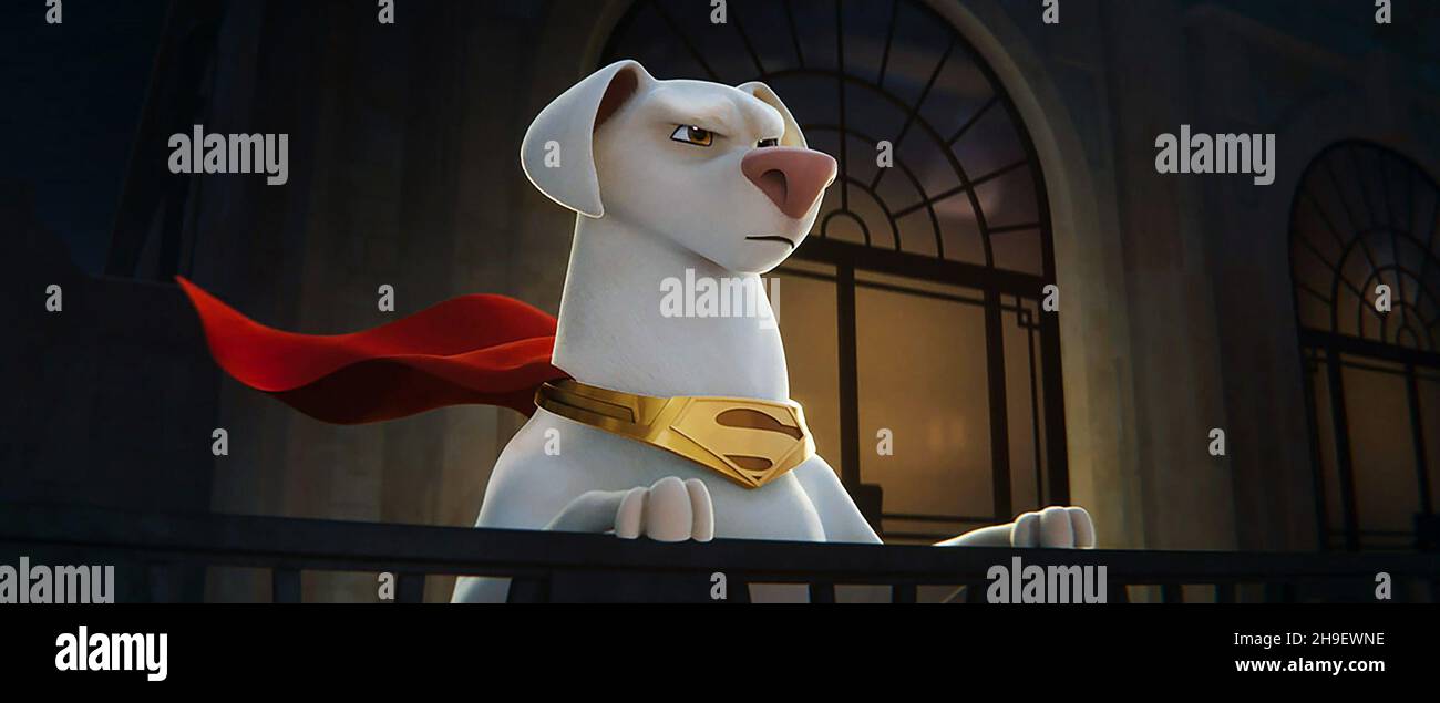 DC LEAGUE OF SUPER-PETS, (aka DC SUPER PETS), Krypto (voice: Dwayne ...