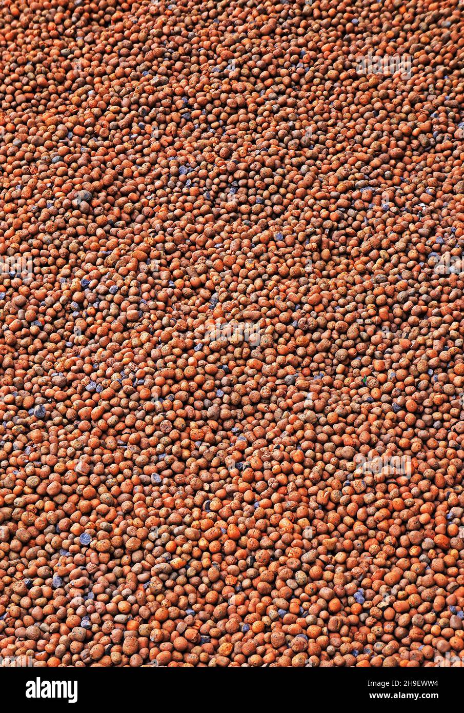 Expanded clay aggregate texture background Stock Photo - Alamy