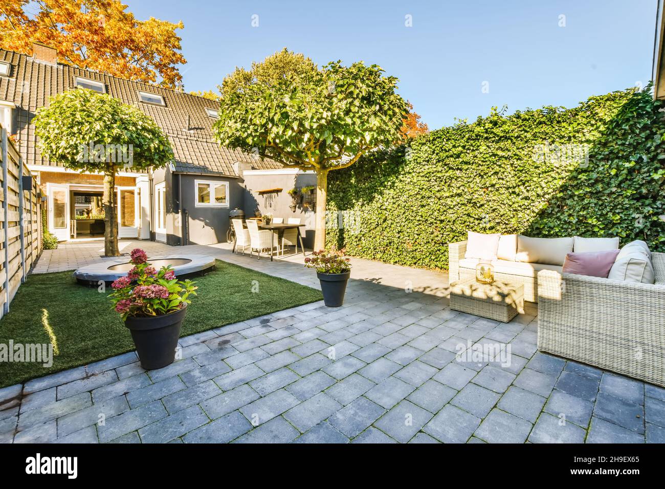 The courtyard of a house with well-groomed trees of a beautiful shape ...