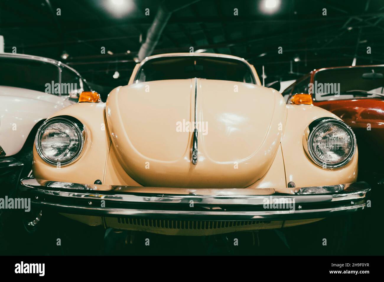 Vw beetle car front end hi-res stock photography and images - Alamy