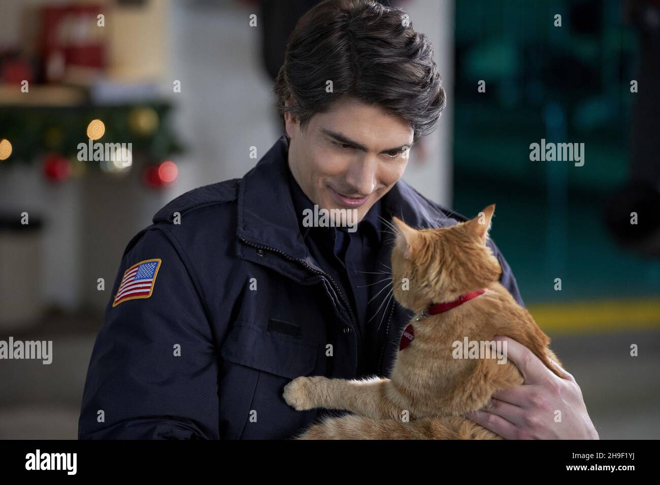 NINE LIVES OF HOLIDAYS, (aka NINE KITTENS OF CHRISTMAS), Brandon Routh ...