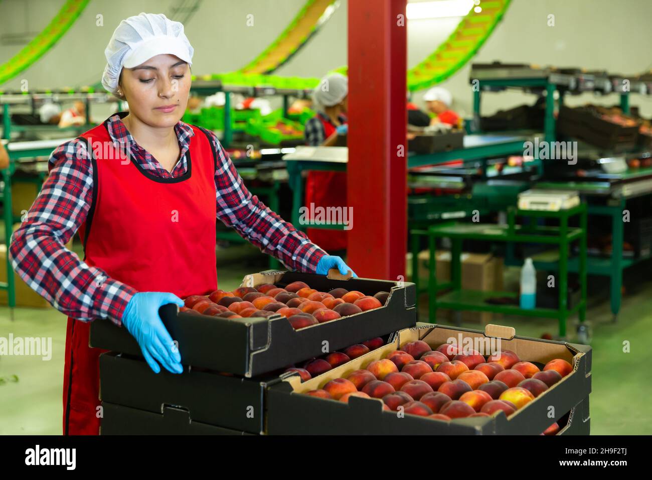 Woman warehouse worker carrying crates with peaches Stock Photo - Alamy