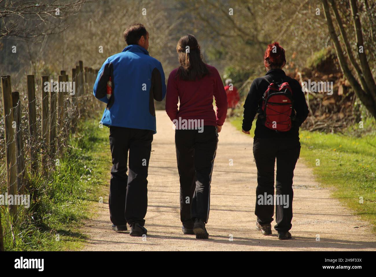 Tree people walking in the park Stock Photo - Alamy