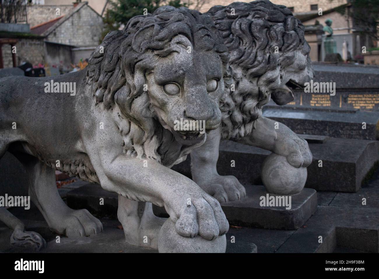 Lion statues on the grave of Prince d'Achery Acheryoticos, Duc de San ...