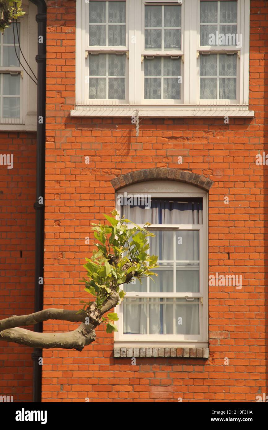Vertical shot of a building with brick walls. London, UK Stock Photo ...