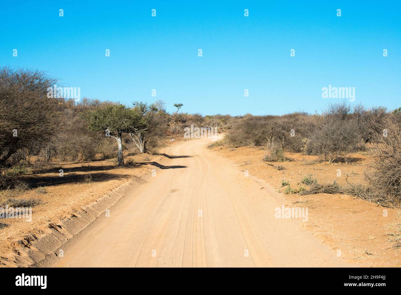 Route in the Erindi National Park, Namibia Stock Photo - Alamy