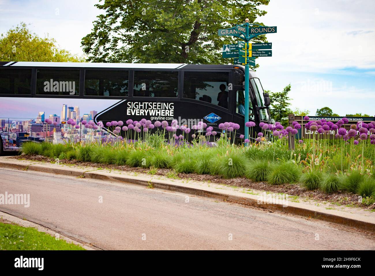 Purple bus hi-res stock photography and images - Alamy