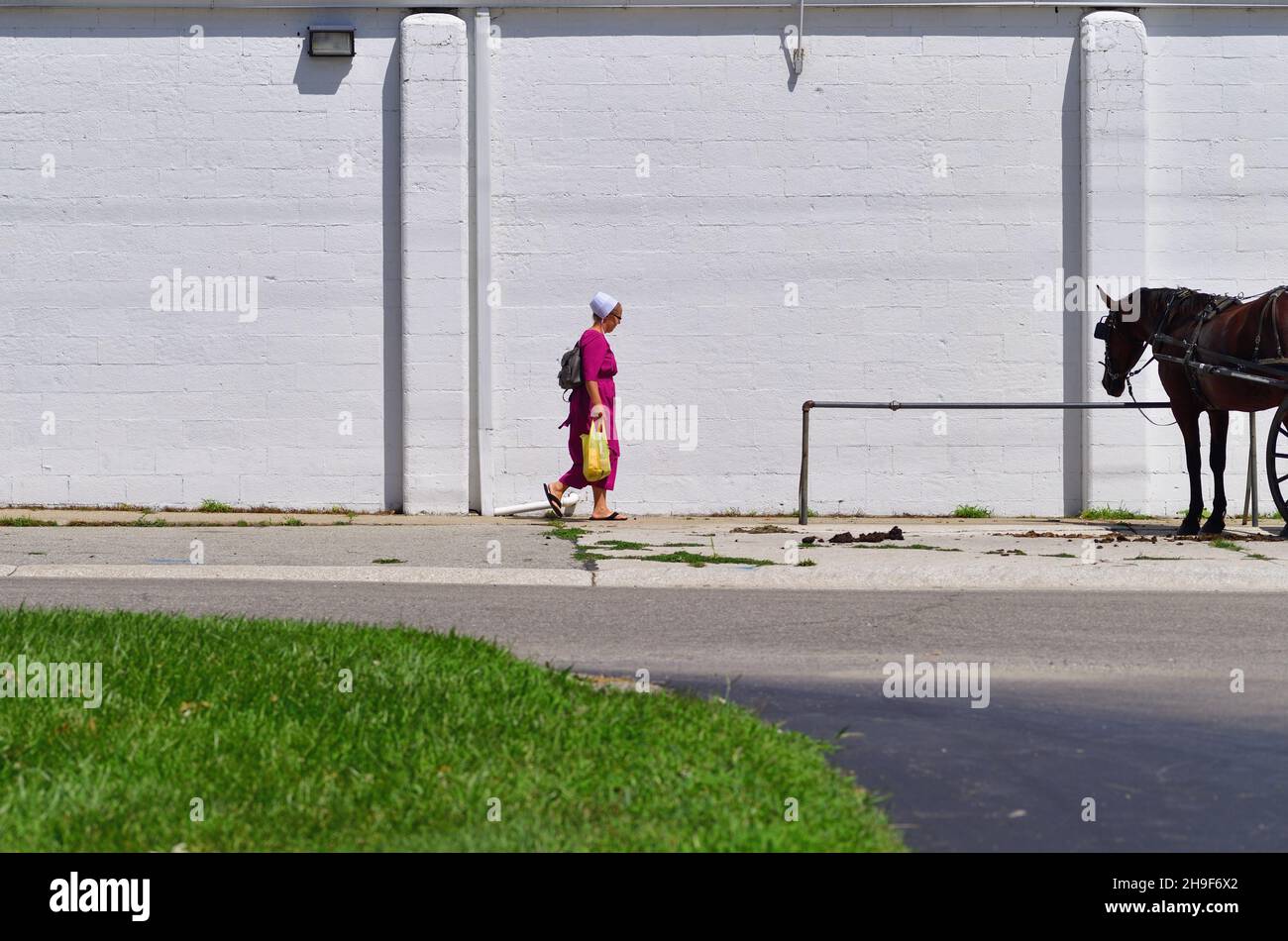 Amish woman horse buggy hi-res stock photography and images - Alamy