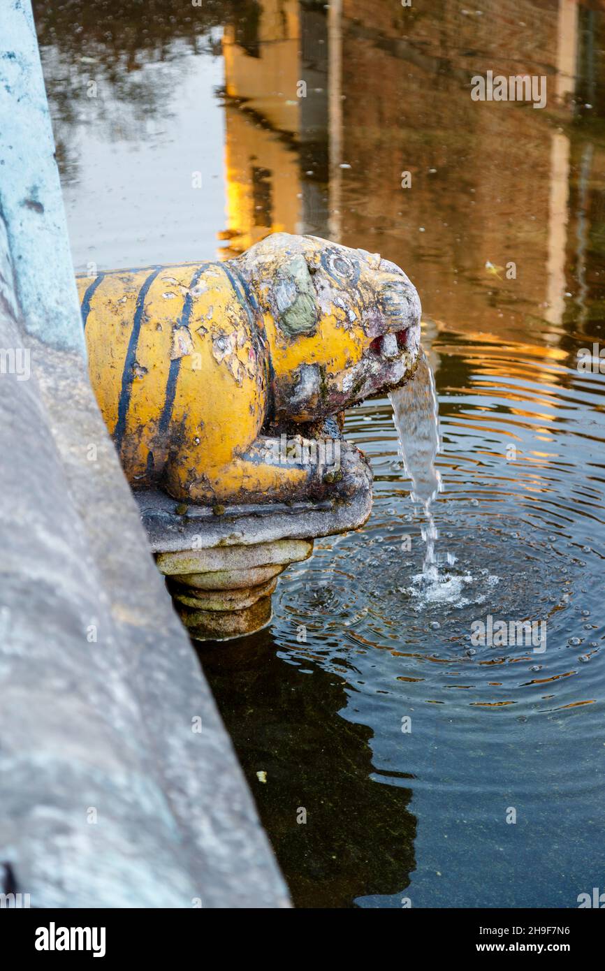 Tiger head water inlet supplying the tank in Pragpur, a heritage ...