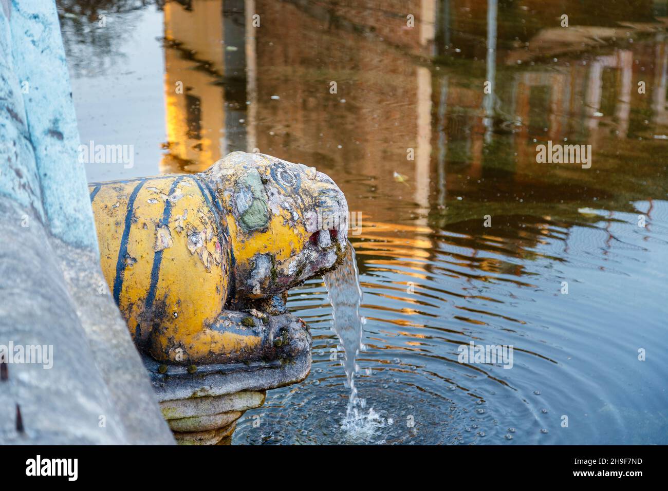 Tiger head water inlet supplying the tank in Pragpur, a heritage ...