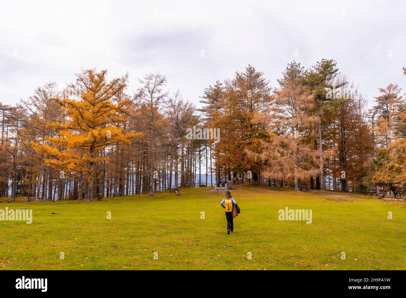 Girl in the Soroeta camping area and picnic area on Mount Erlaitz in ...