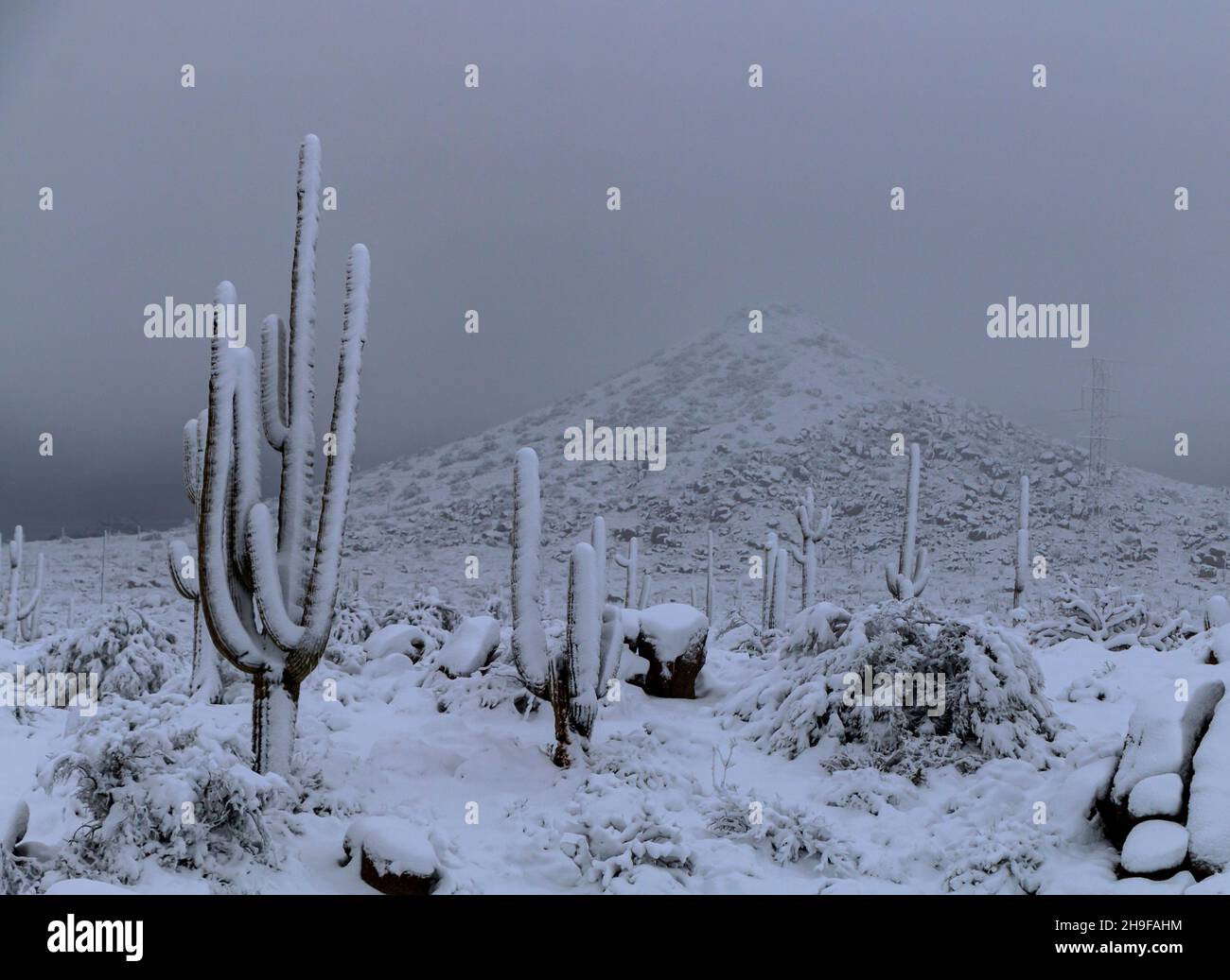 Landscape image at Browns Ranch trailhead with snow covered cactus and ...