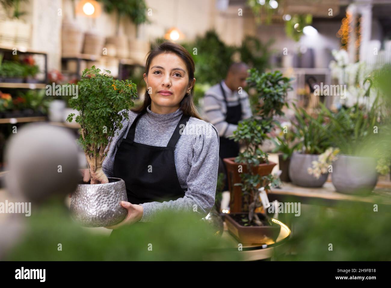 Portrait of woman florist arranging flowers in pots at flower shop ...