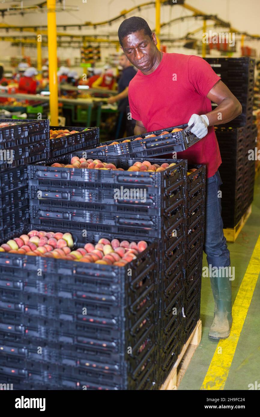 Stacking fruit boxes hi-res stock photography and images - Alamy