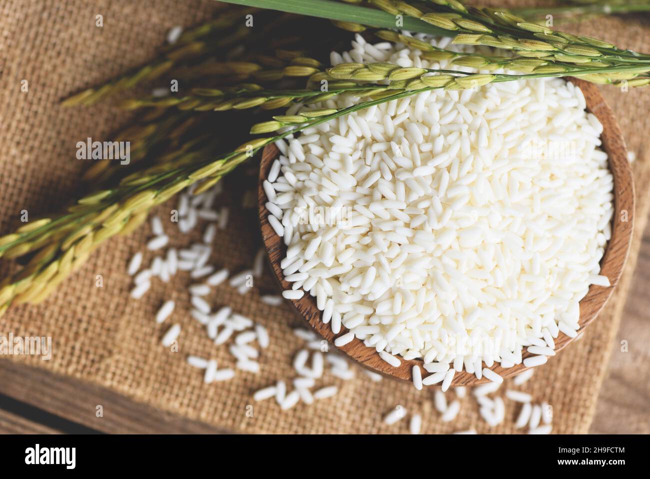 Jasmine white rice in wooden bowl and harvested yellow rip rice paddy ...