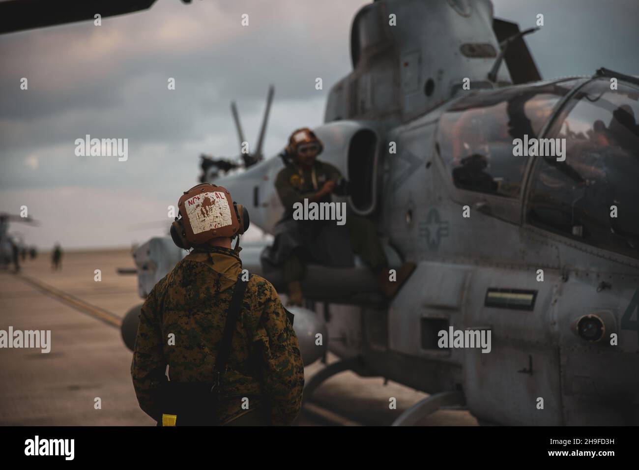 U.S. Marines with Marine Light Attack Helicopter Squadron (HMLA) 369 ...