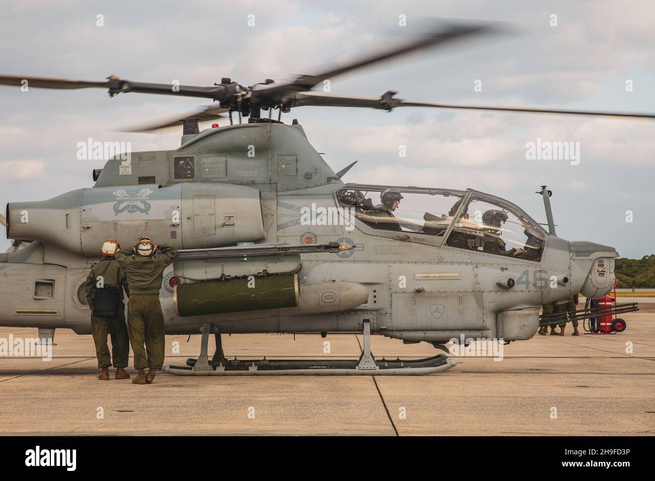 Hmla 369 Gunfighters With Yosemite Sam Emblem