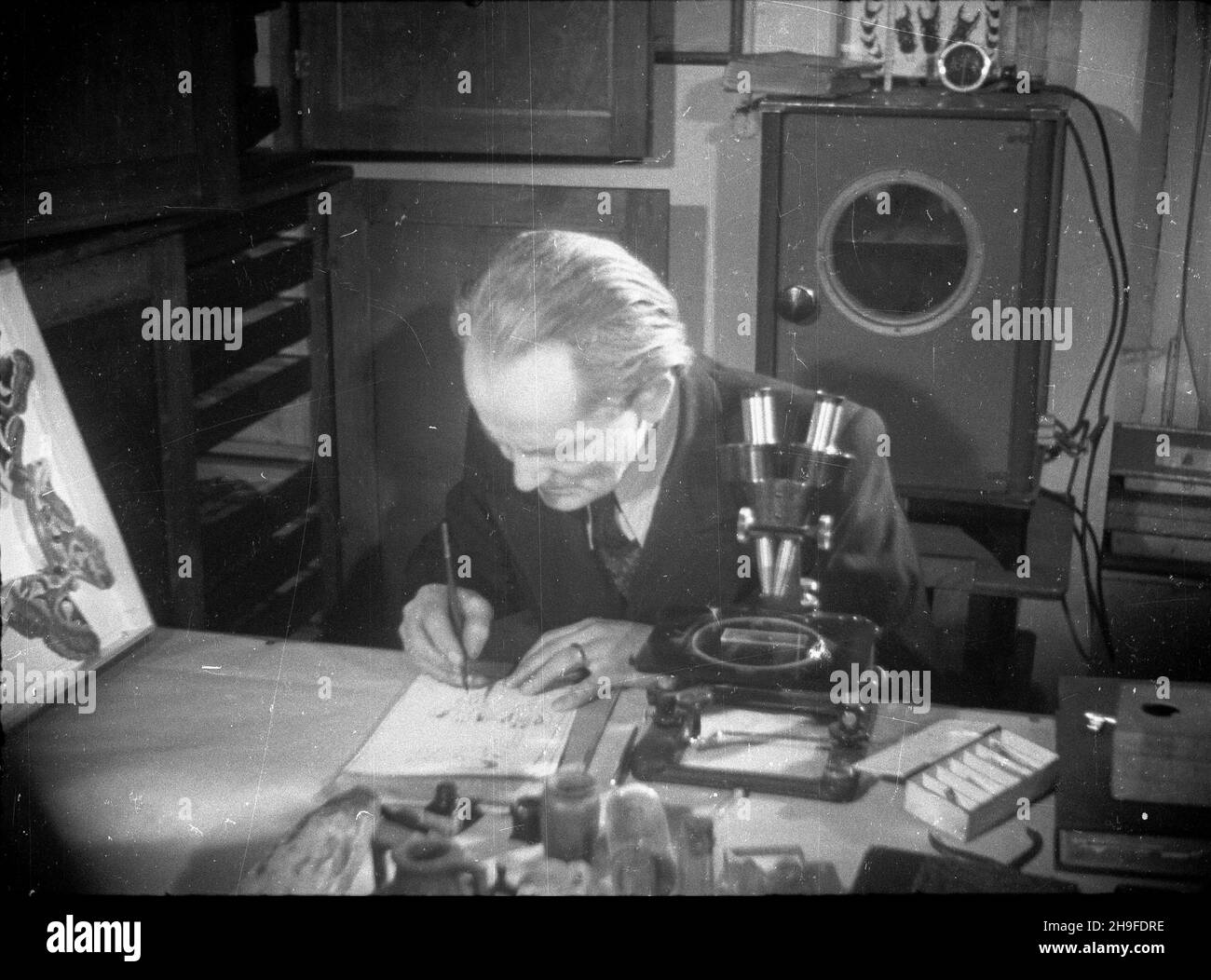 Lepidopterologist hi-res stock photography and images - Alamy