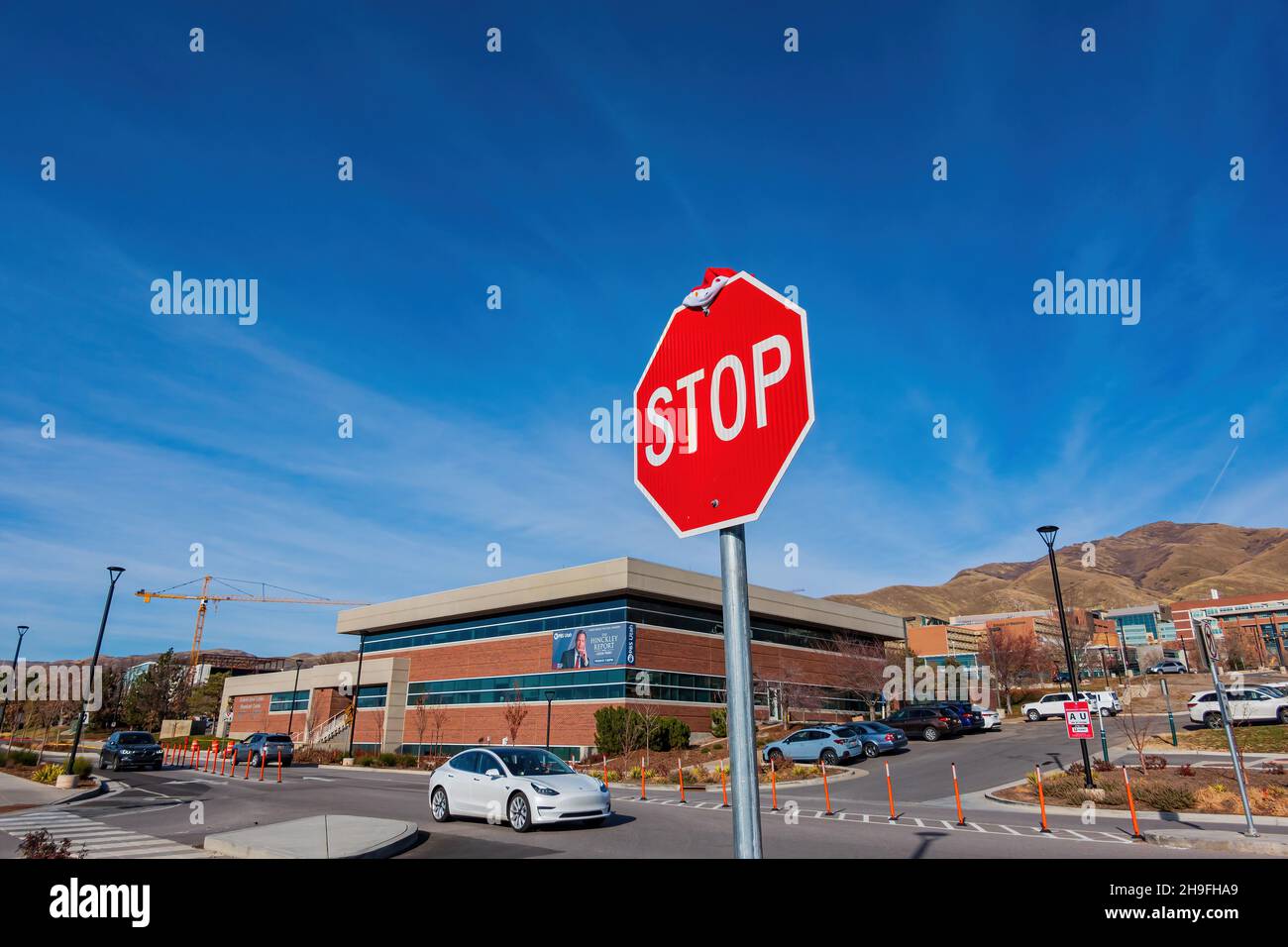 Stop salt hi-res stock photography and images - Alamy