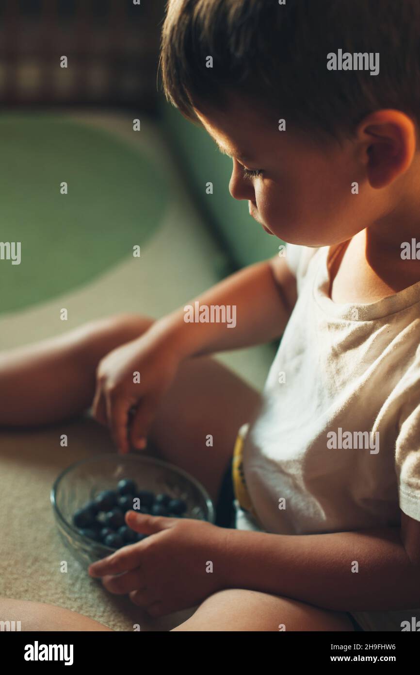 Caucasian boy eating fresh blueberry indoor from a bool sitting on the ...