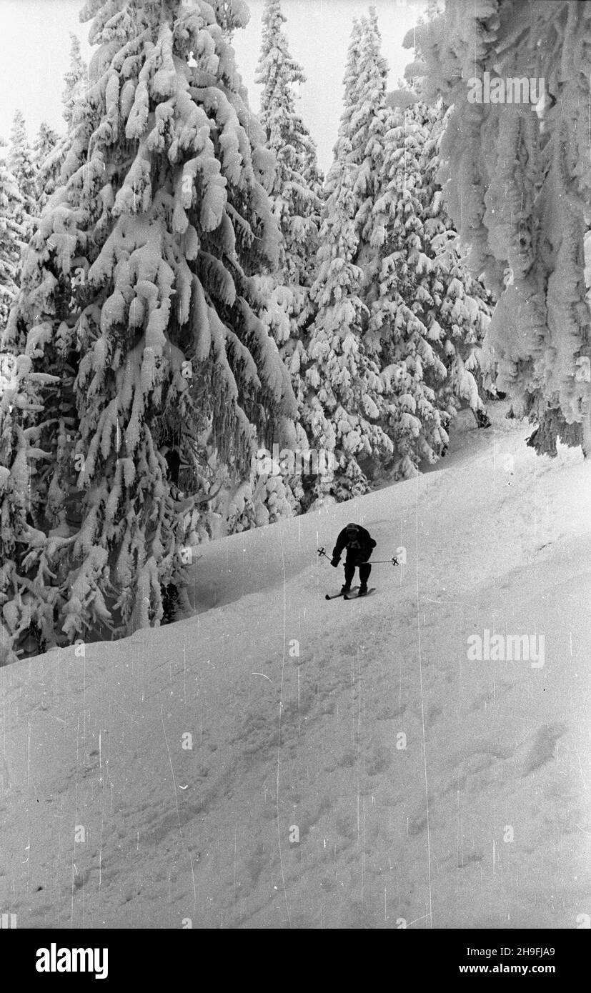Karpacz, 1948-02-19. W dniach od 18 do 22 lutego odbywa³y siê ...