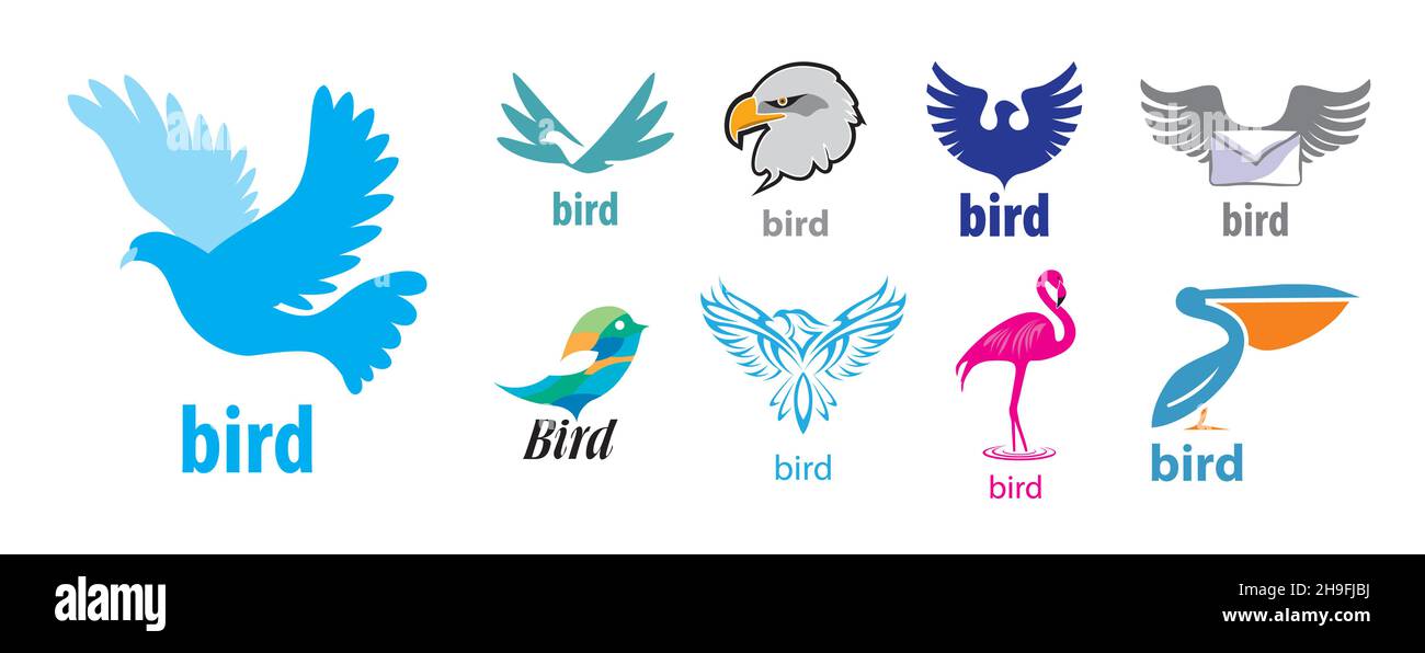 A set of vector Bird logos on a white background Stock Vector Image ...