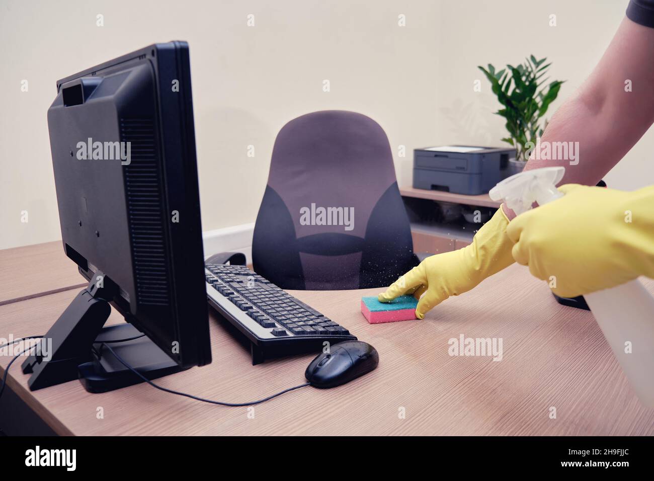 Cleaning the office, a janitor in yellow gloves wipes tables and ...