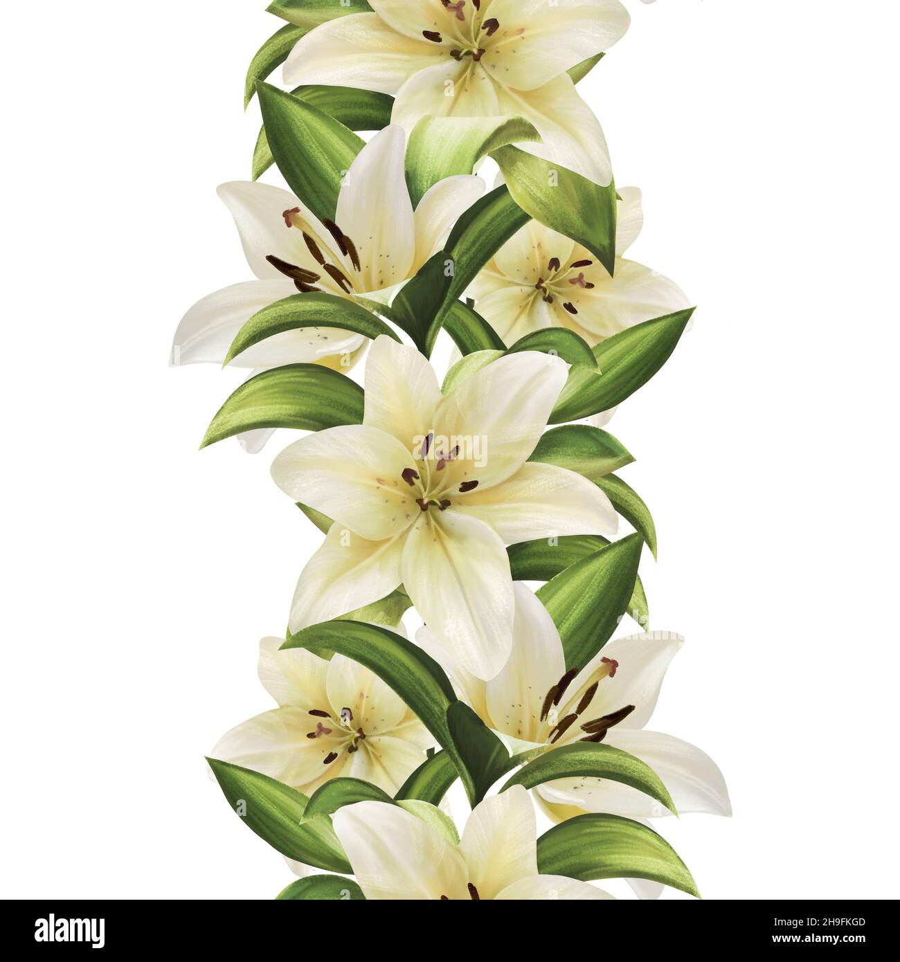 Floral border. White lily flowers seamless pattern Stock Photo - Alamy