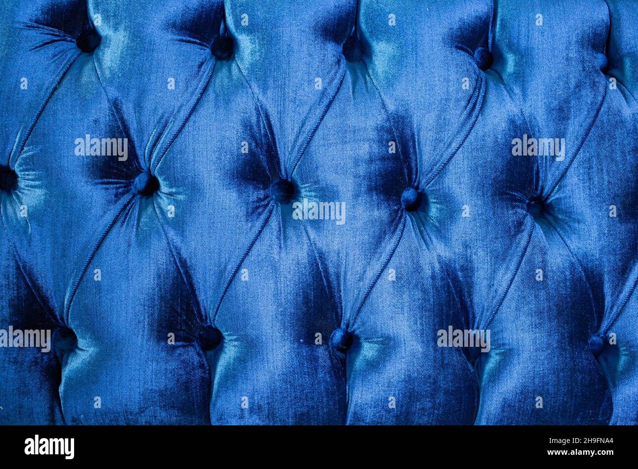 Blue velvet capitone textile, suede, velor, with buttons, sofa back ...