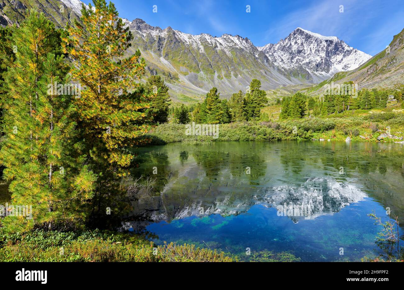 Beautiful mountain landscape by the lake and Siberian cedars. Eastern ...