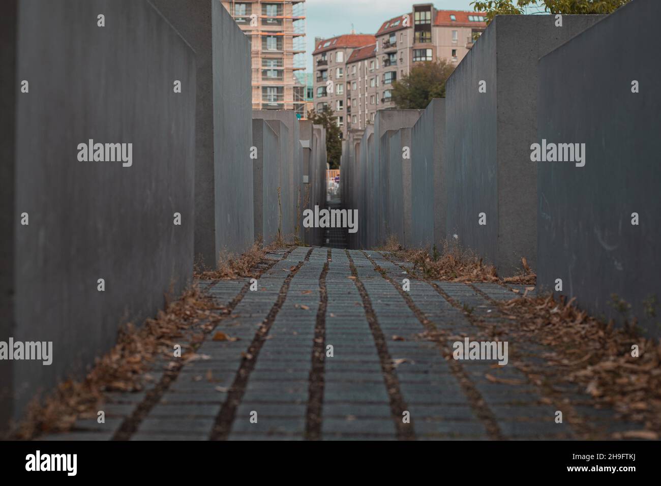 Jewish memorial in berlin. Concrete blocks resembling graves laid in a ...