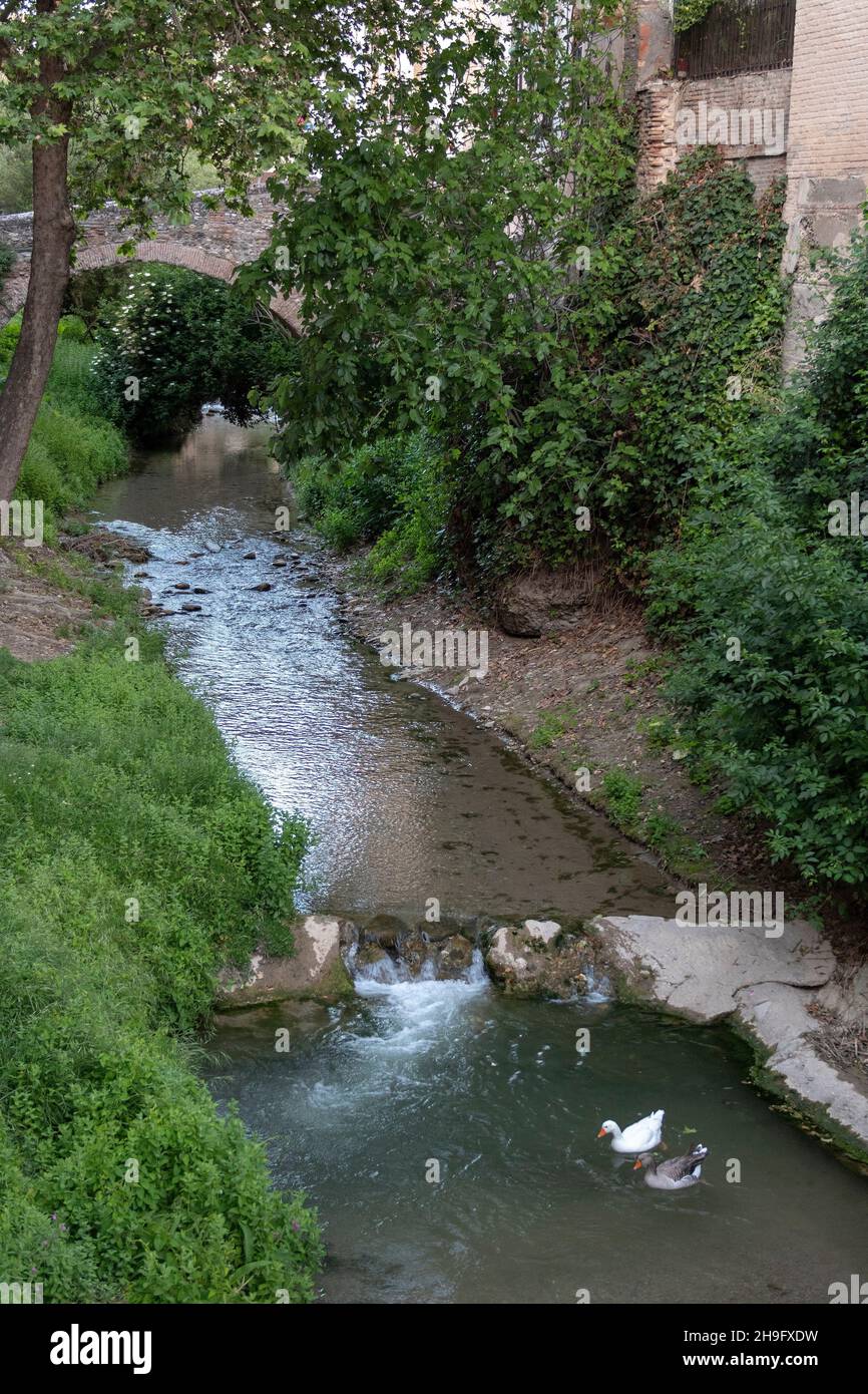 Natural river of water that flows permanently Stock Photo - Alamy