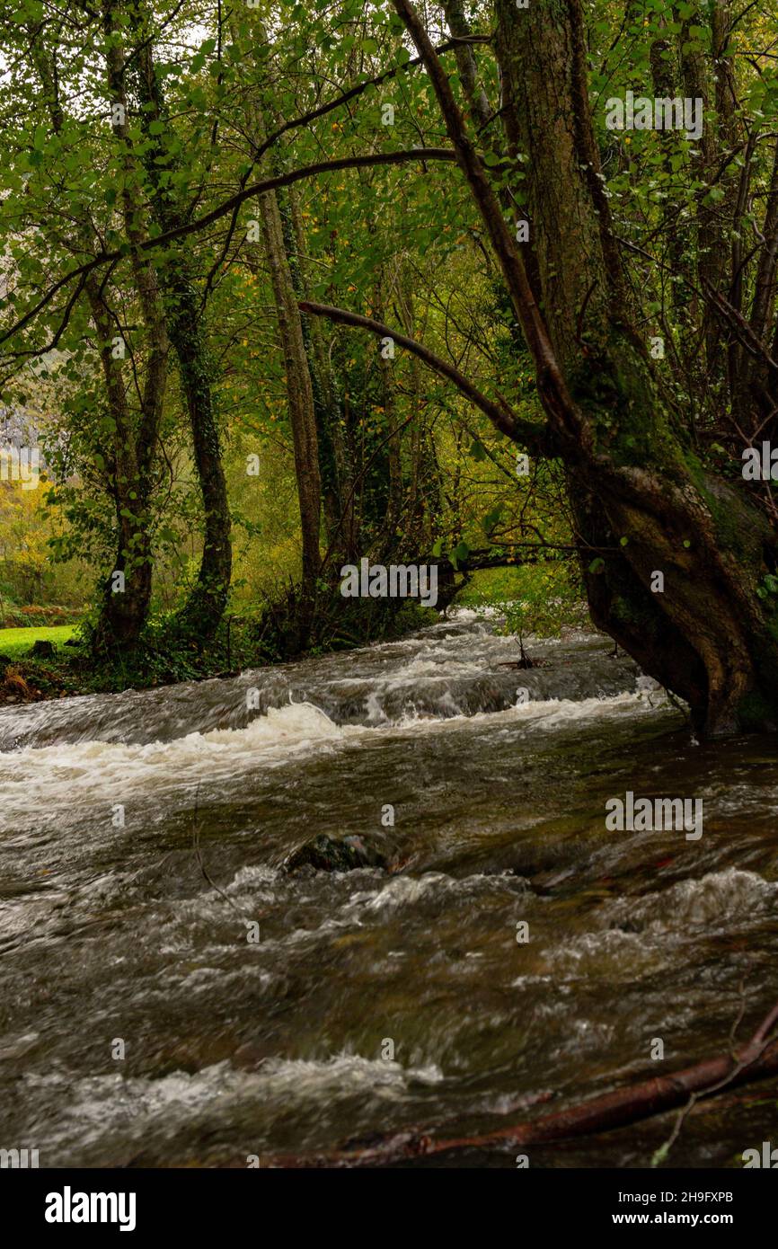 Natural river of water that flows permanently Stock Photo - Alamy