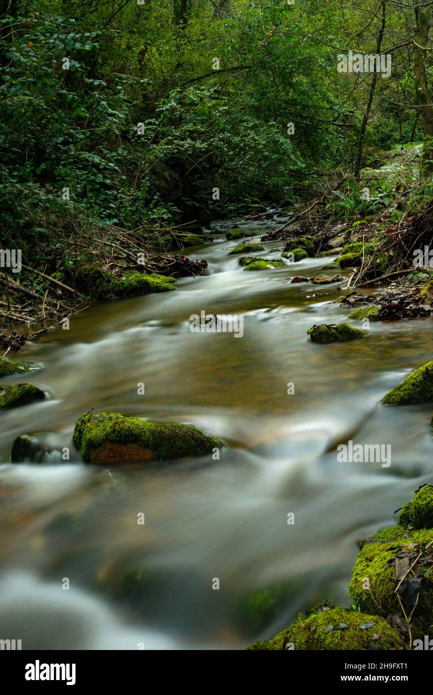 Natural river of water that flows permanently Stock Photo - Alamy