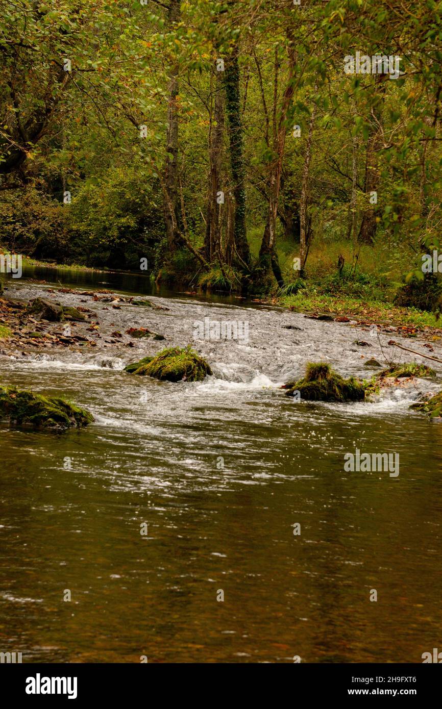Natural river of water that flows permanently Stock Photo - Alamy